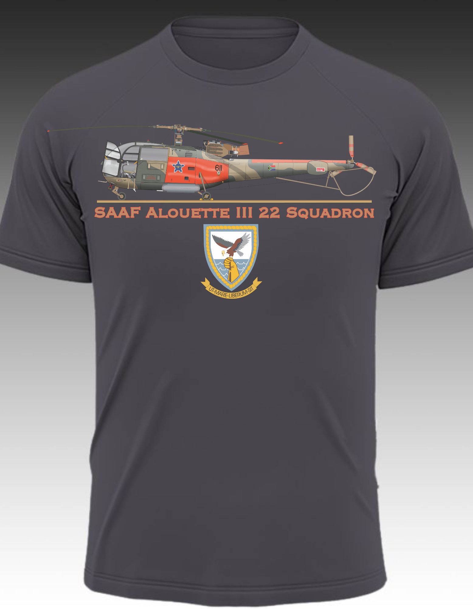 SAAF Alouette III 22 Squadron