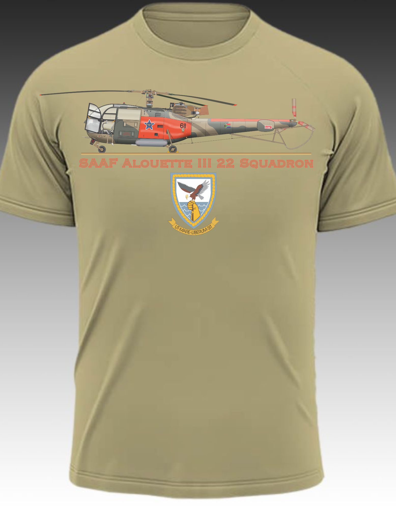 SAAF Alouette III 22 Squadron